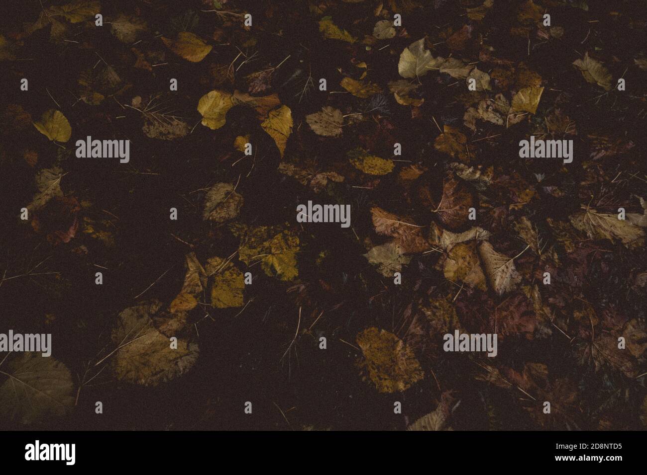 Milano pioggia hi-res stock photography and images - Alamy