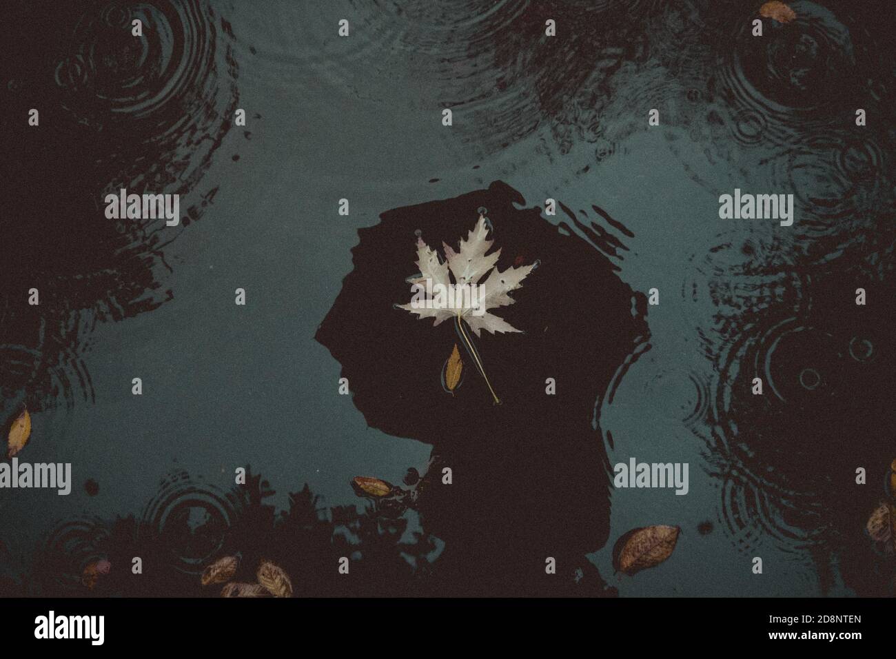 Milano pioggia hi-res stock photography and images - Alamy