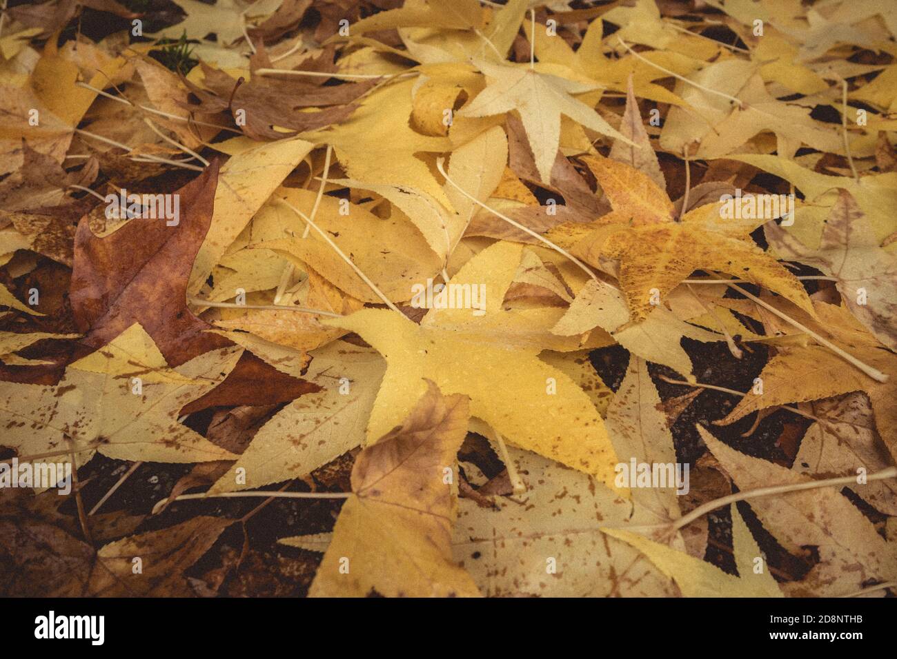 Milano pioggia hi-res stock photography and images - Alamy