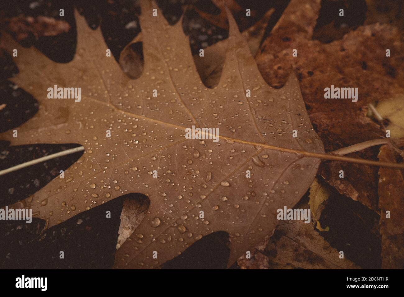 Milano pioggia hi-res stock photography and images - Alamy