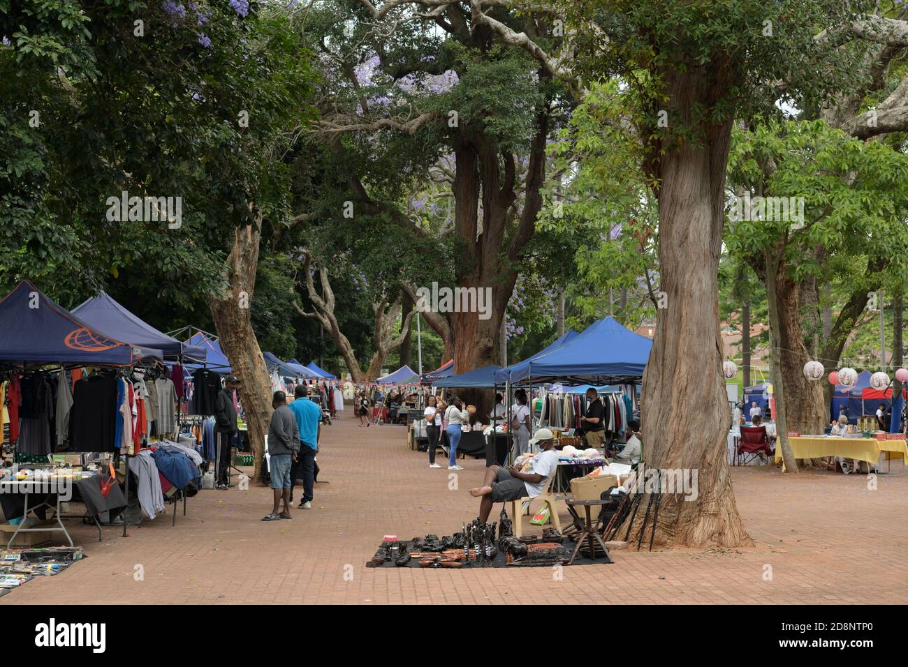 Market, outdoor bazaar stalls, Musgrave, markets of Durban, KwaZulu ...