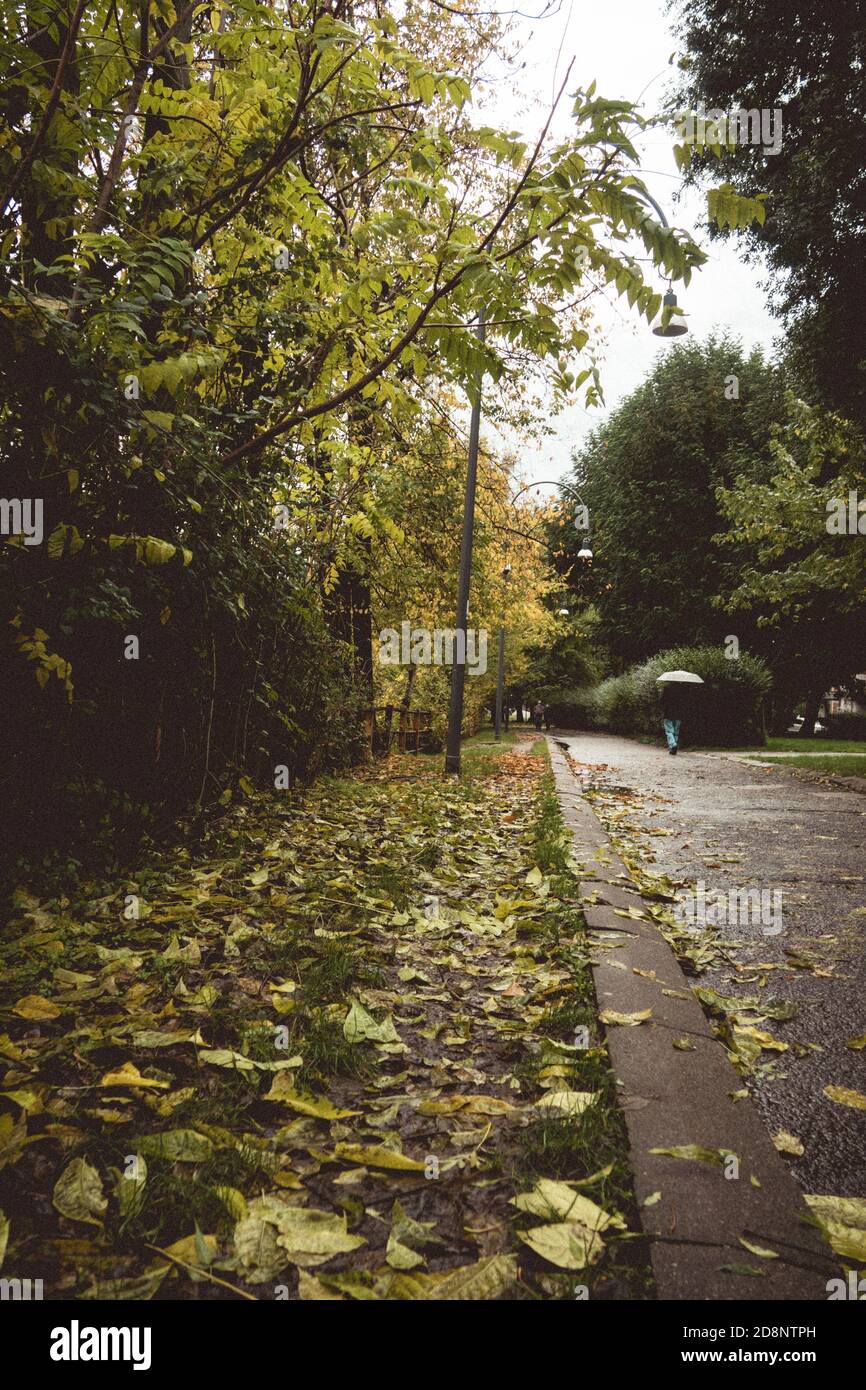 Autumn Fall in Milan Stock Photo - Alamy