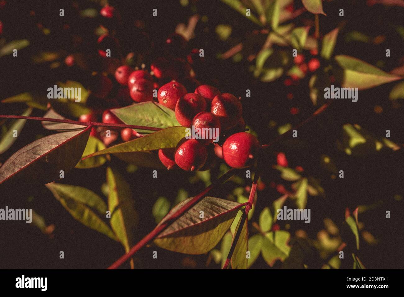 Milano pioggia hi-res stock photography and images - Alamy