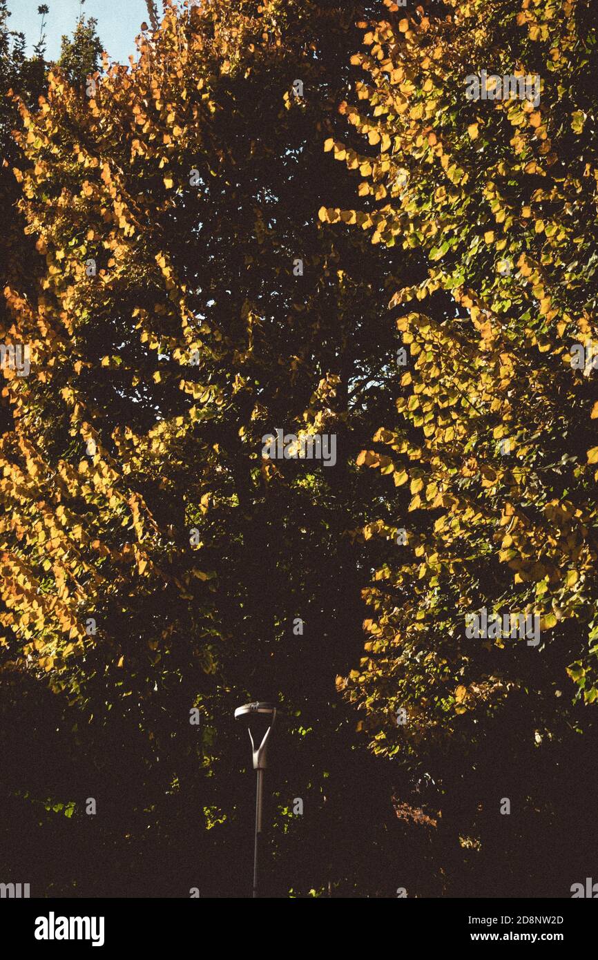 Olympus fallen hi-res stock photography and images - Alamy