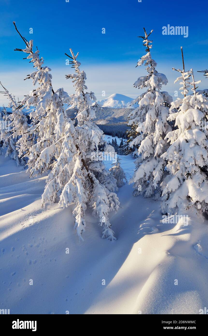Sunshine on snowy landscape hi-res stock photography and images - Alamy
