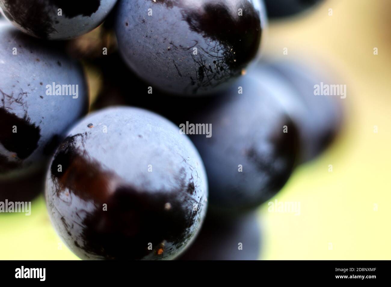 Red Grapes - extreme close up | Macro photography Stock Photo - Alamy