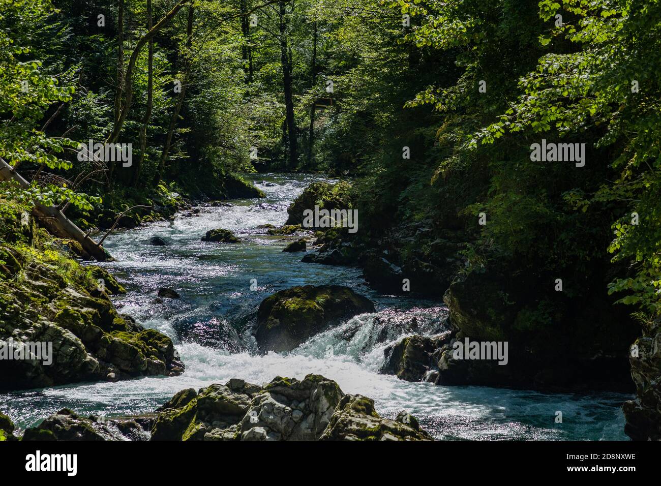 A picture of the Vintgar Gorge, the Radovna Valley river and the ...