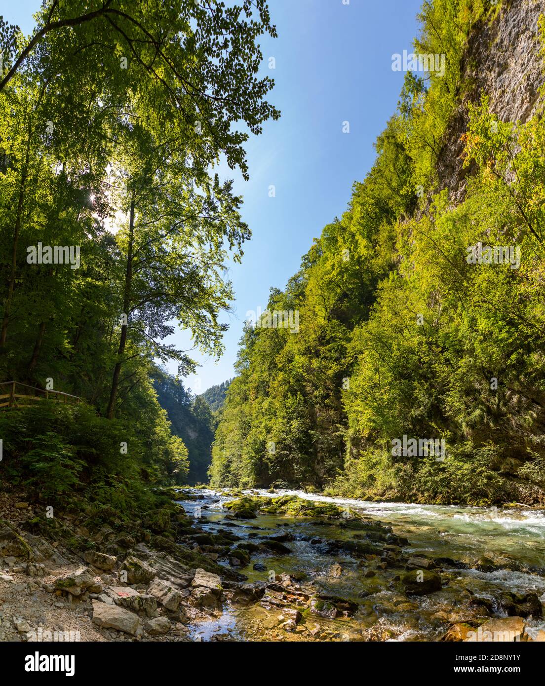 A picture of the Vintgar Gorge, the Radovna Valley river and the ...