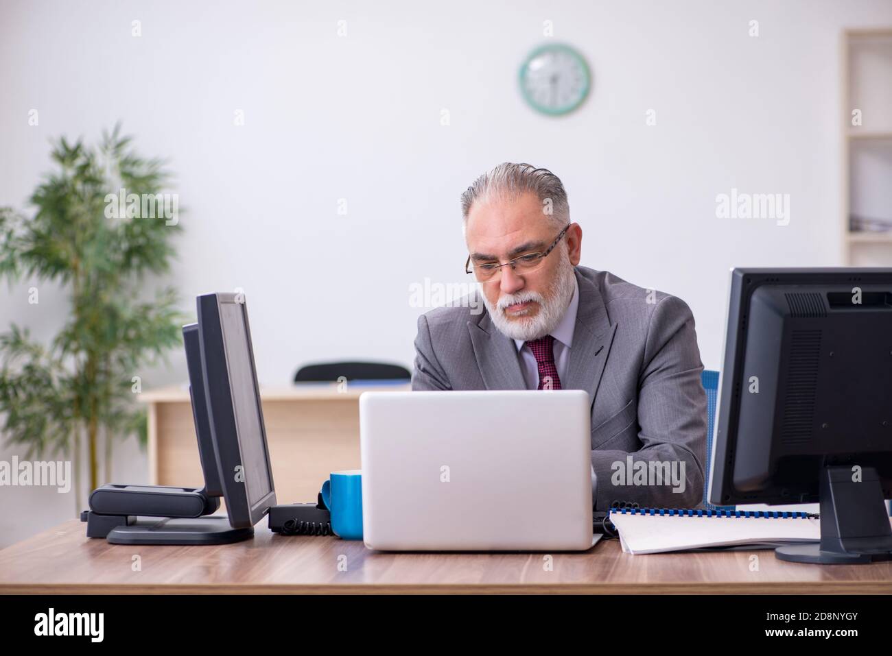 Old boss sitting at desktop in the office Stock Photo - Alamy