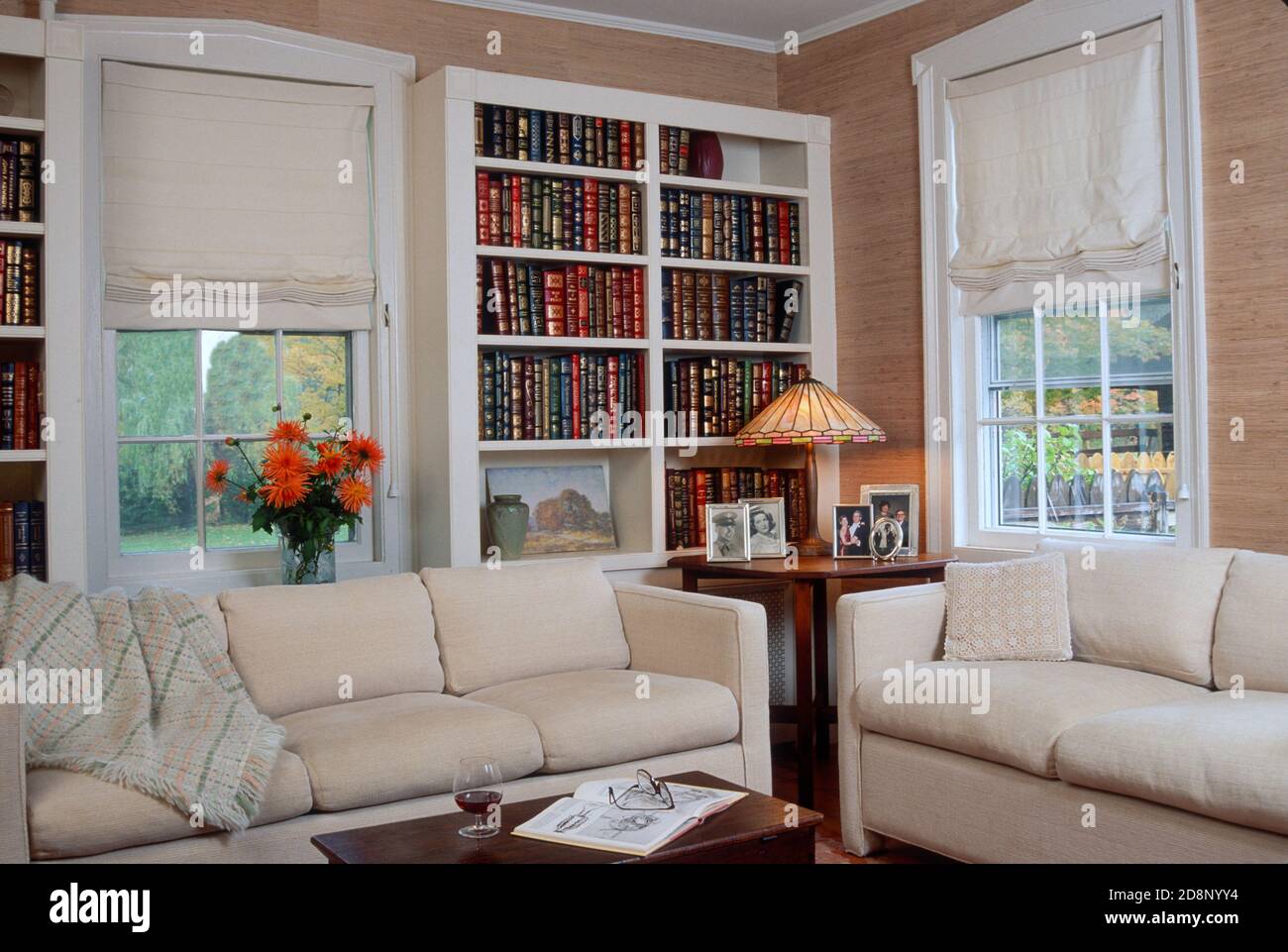 Comfortable residential den, Northeastern United States Stock Photo - Alamy