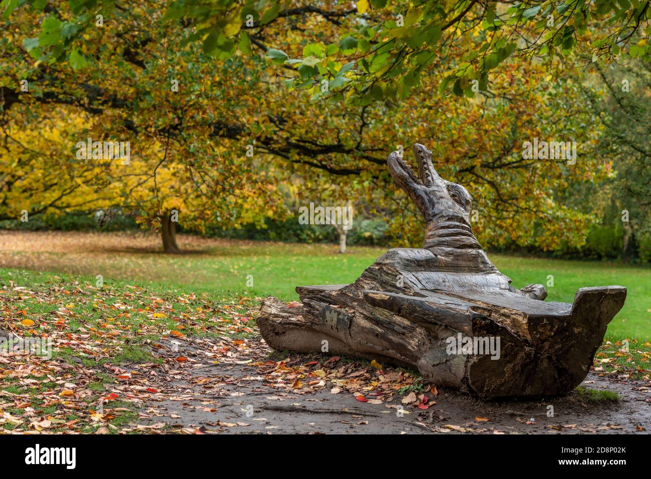 Sculpted trunk hi-res stock photography and images - Alamy
