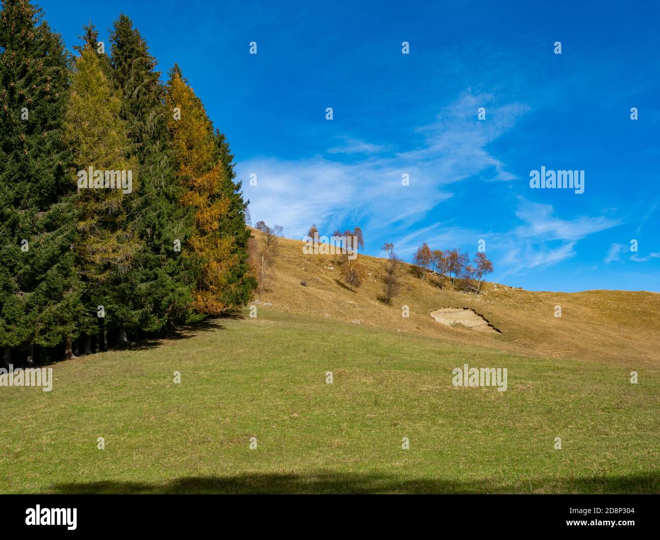 Autumn colors in the italian alps Stock Photo - Alamy