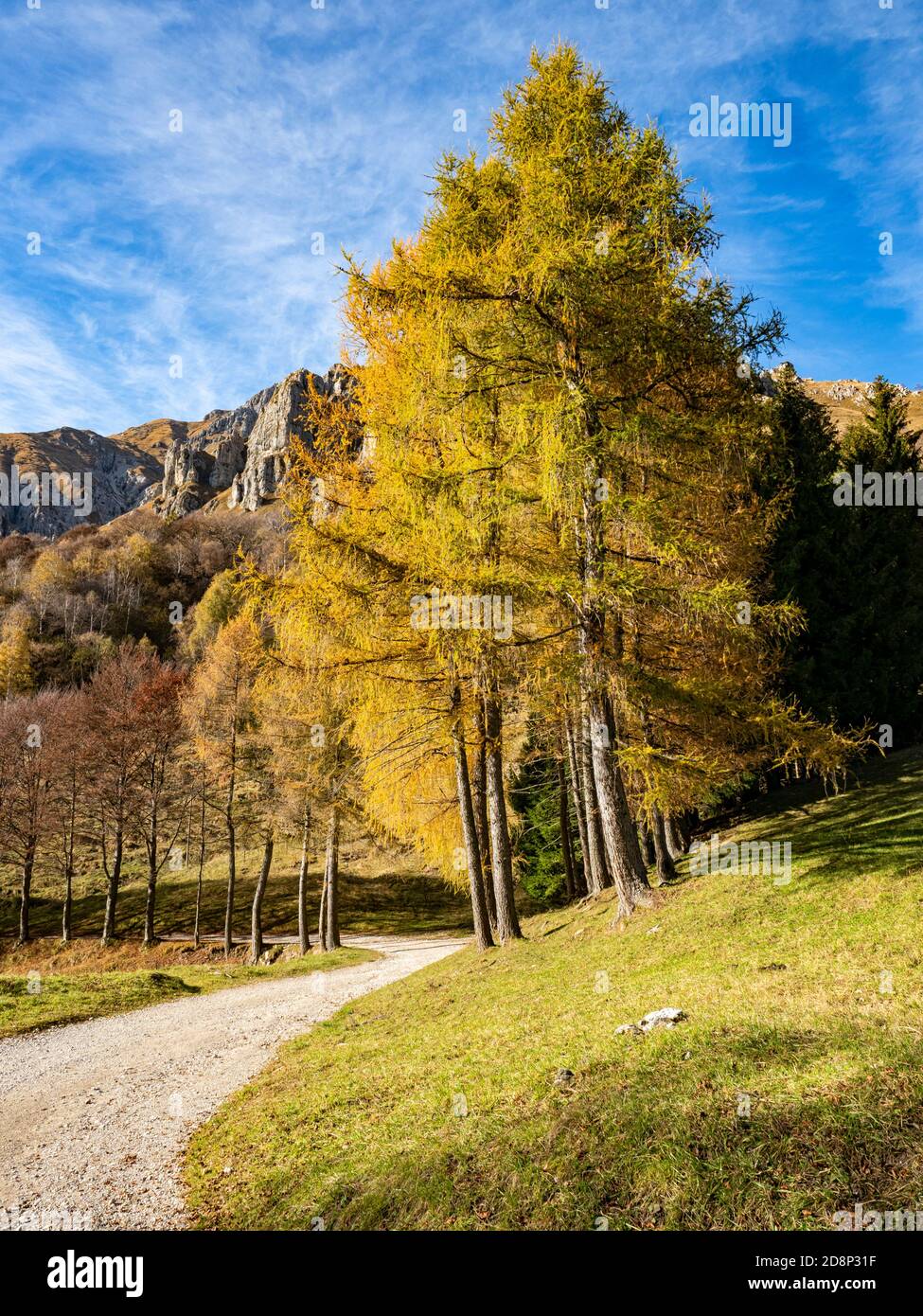 Autumn colors in the italian alps Stock Photo - Alamy