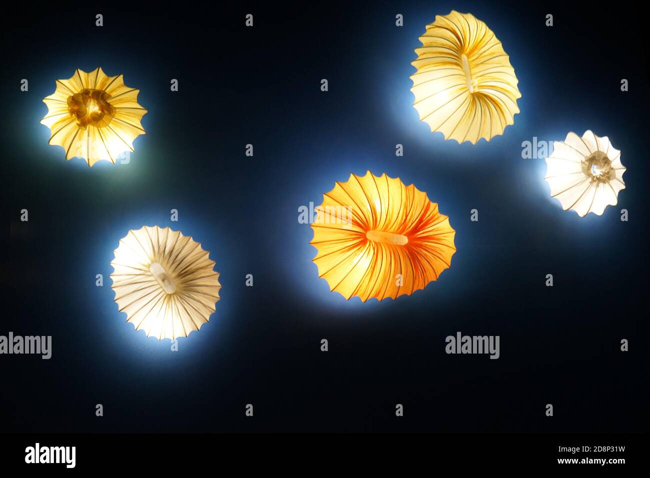 neon lights sea shells on a black background Stock Photo - Alamy