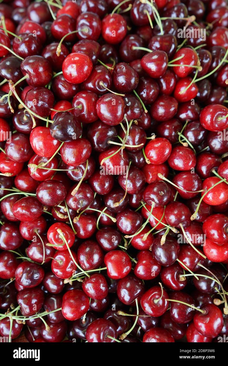 Bright red cherry hi-res stock photography and images - Alamy