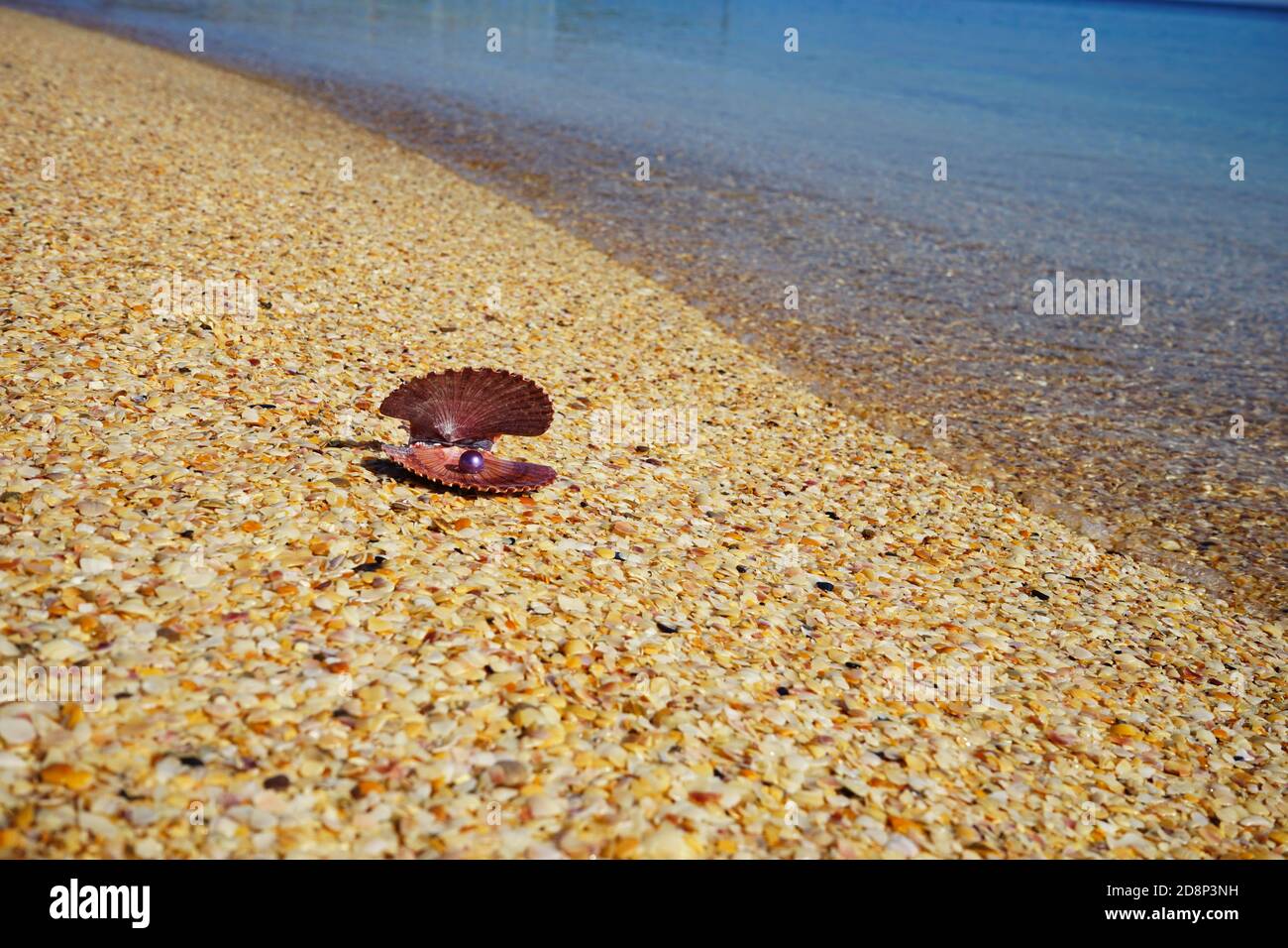 pearl on the sea beach Stock Photo - Alamy
