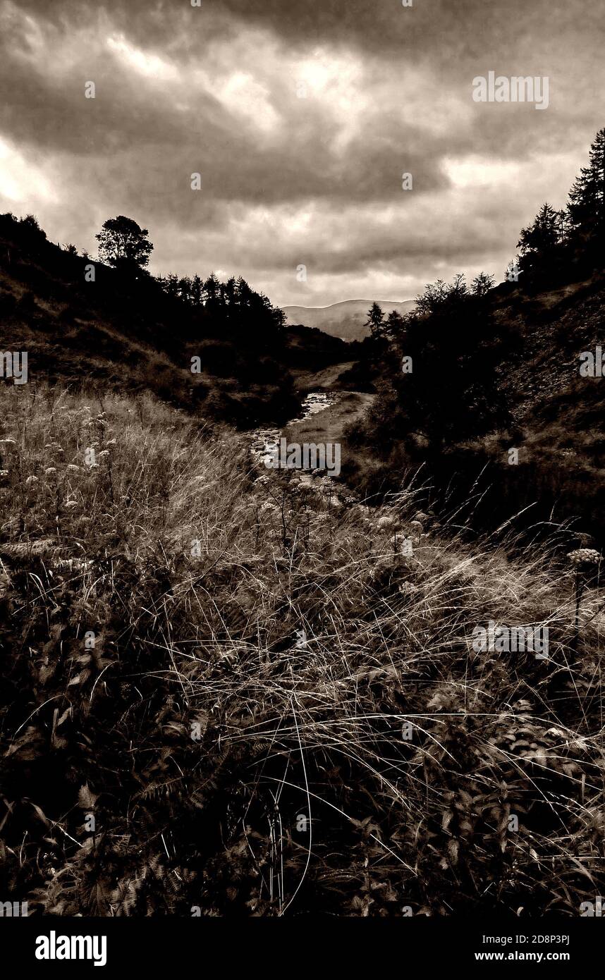 Black brook valley hi-res stock photography and images - Alamy