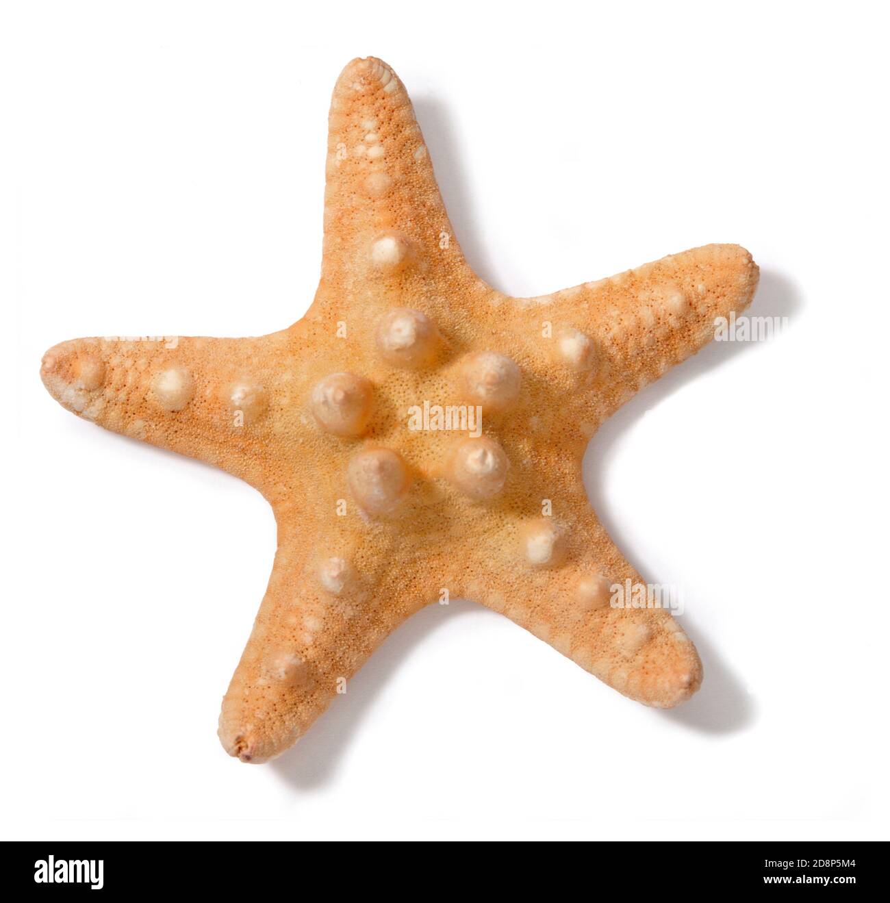 Dried out sea Cut Out Stock Images & Pictures - Alamy