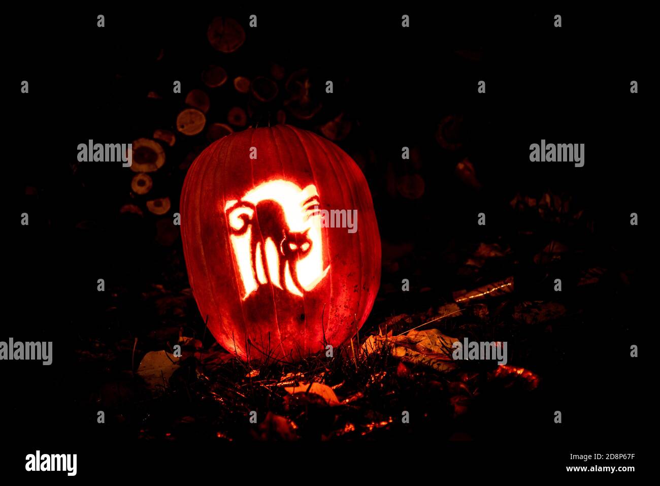 Cat Jack o' lantern Stock Photo - Alamy