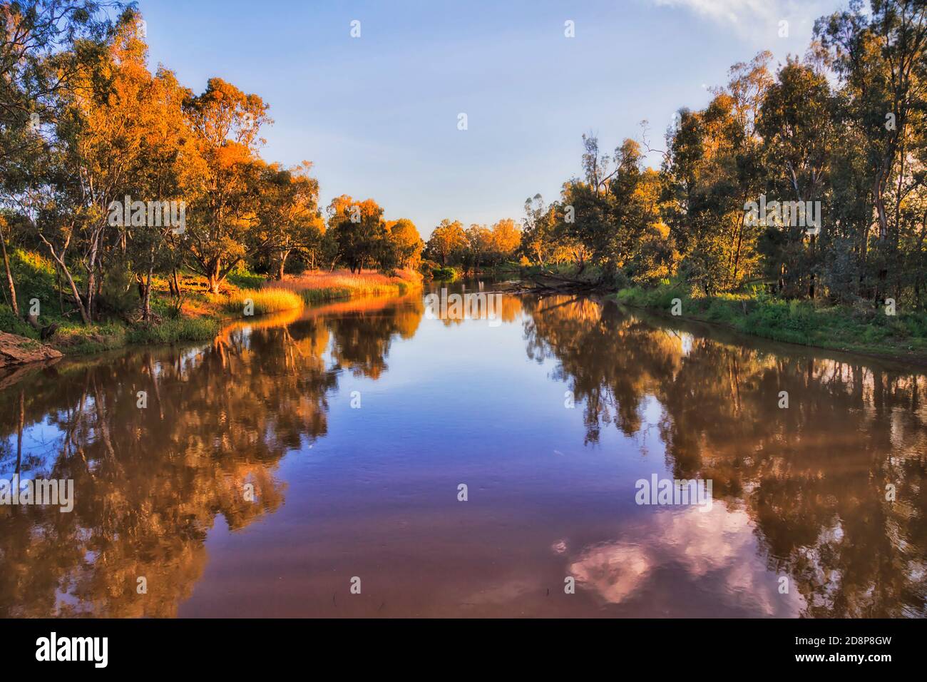 Lazy flowing water in Macquarie river near Dubbo city of Australian ...