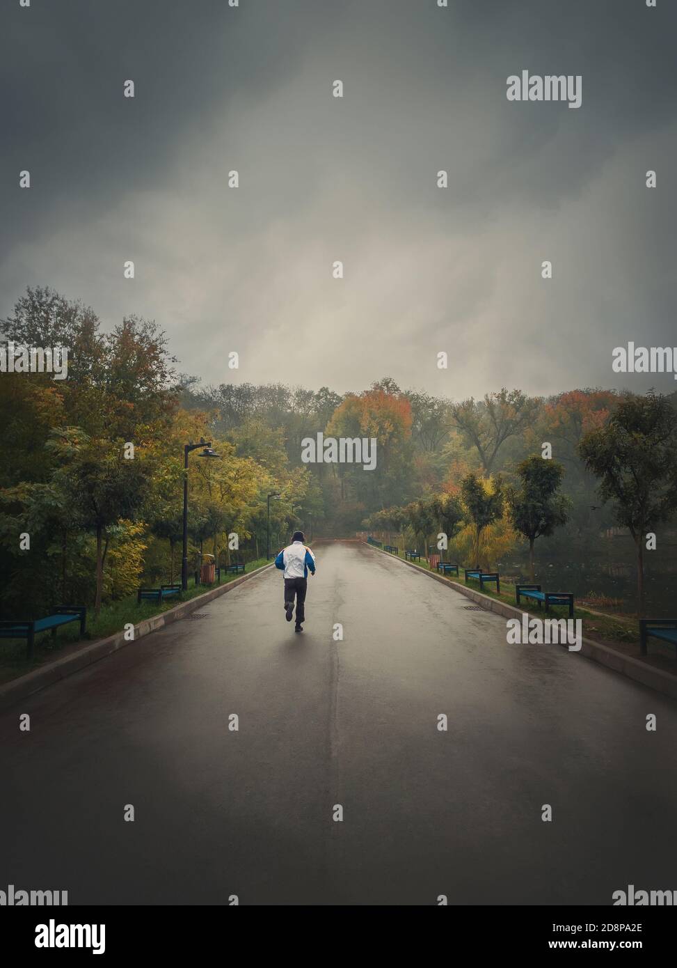 Single man running alone on an alley in the autumn park. Practicing ...