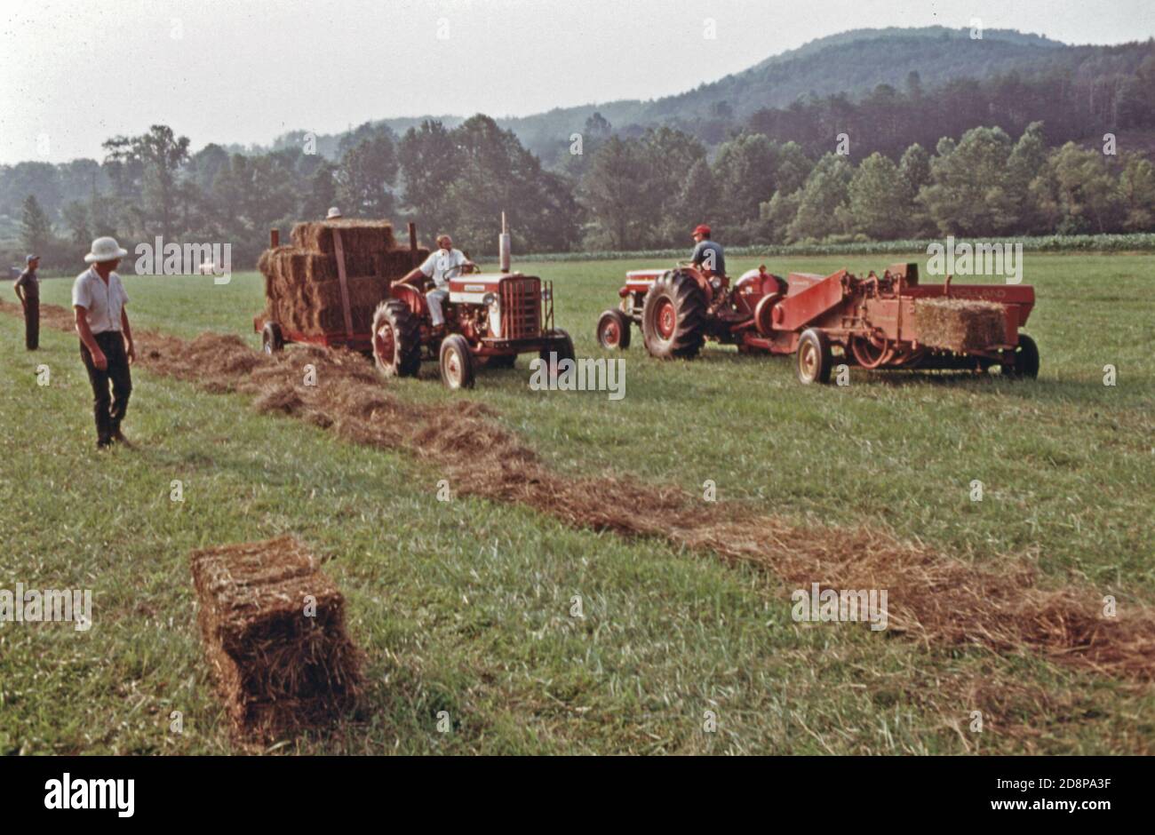 Hay gathering and baling time on the farm of Joseph Kimsey seen in the ...