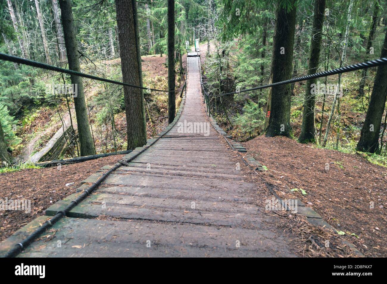 Suspension bridge in wilds forest hi-res stock photography and images ...