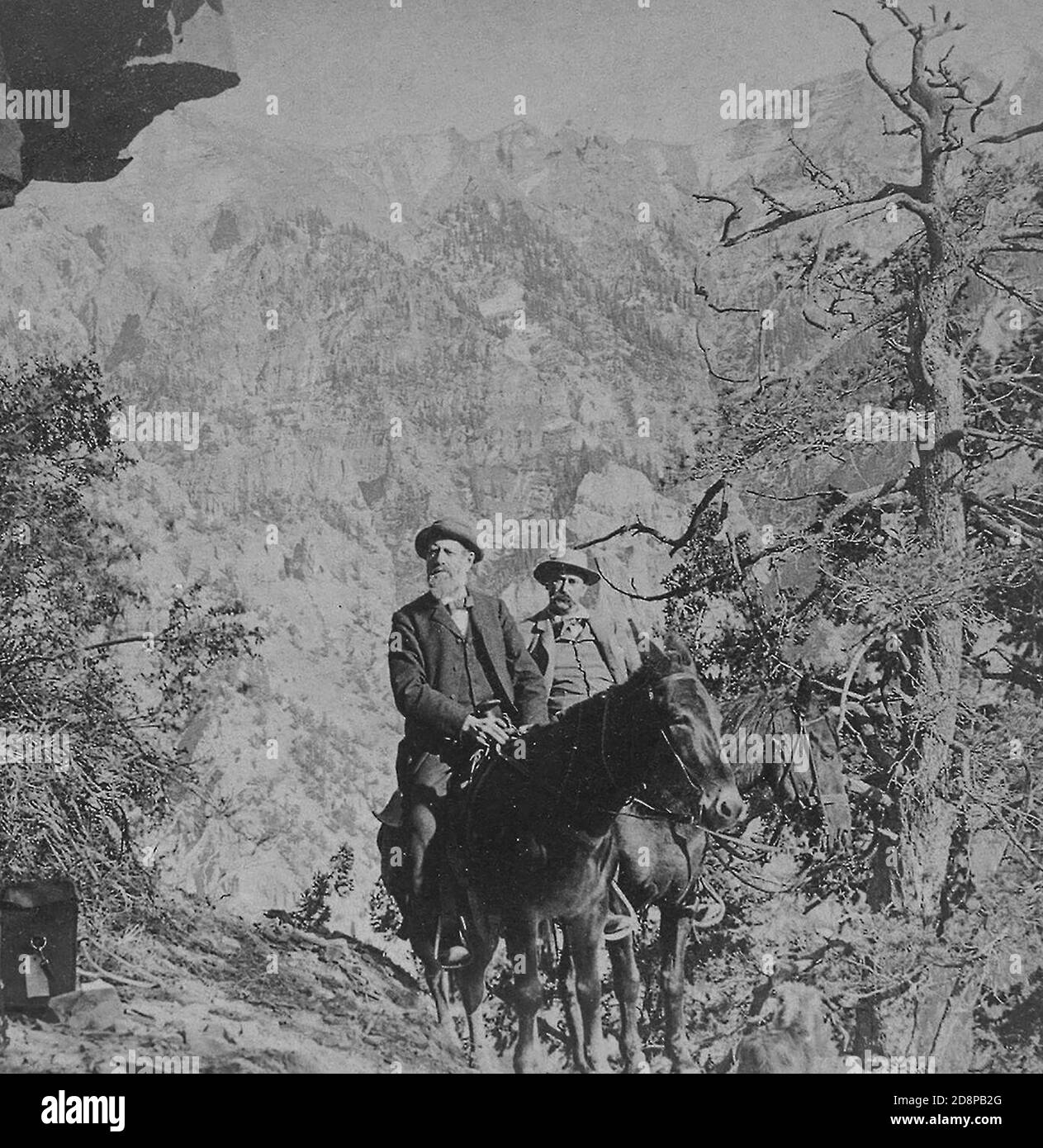 Albumen silver prints hi-res stock photography and images - Alamy