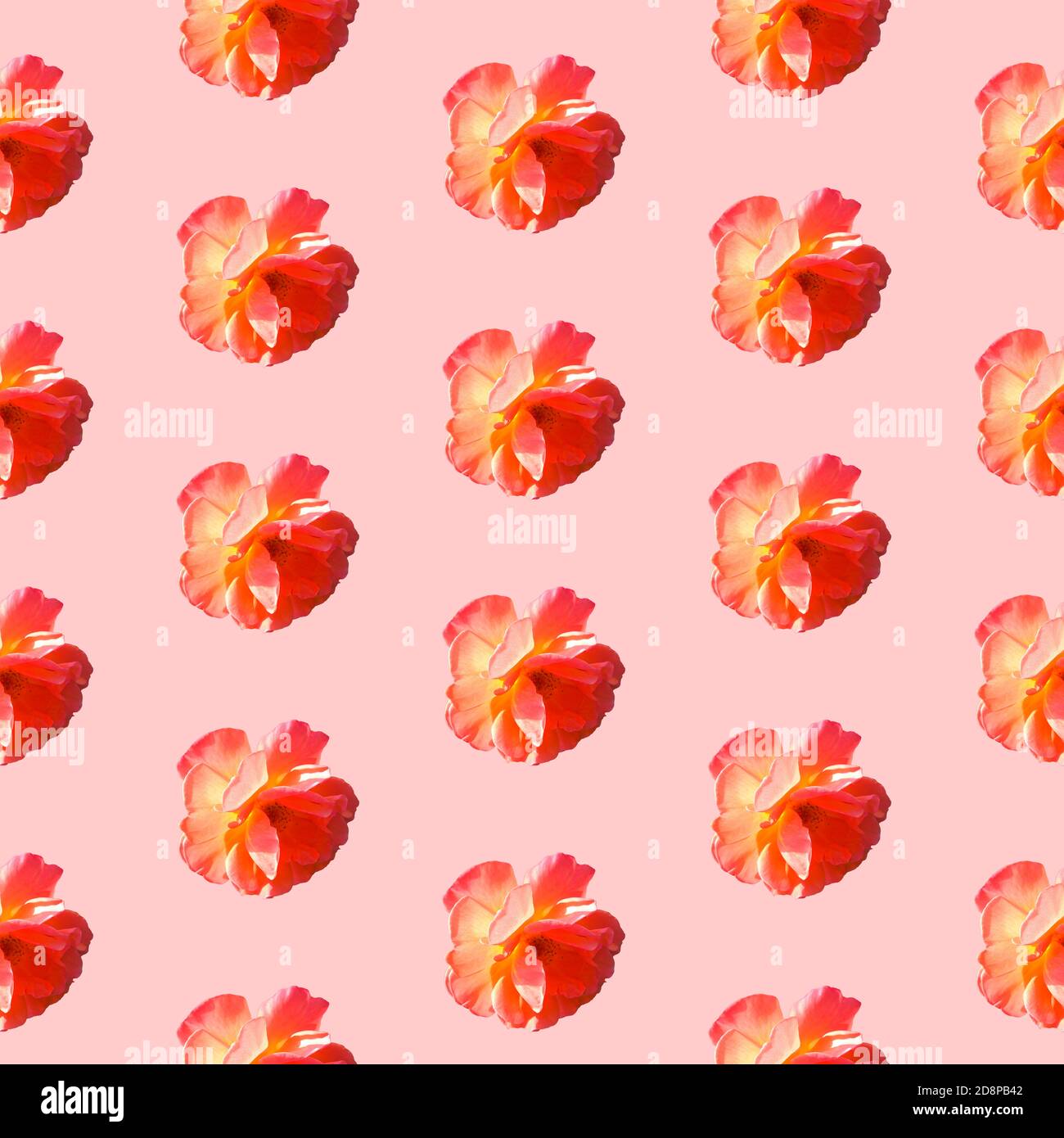 Colorful roses repeating hi-res stock photography and images - Alamy