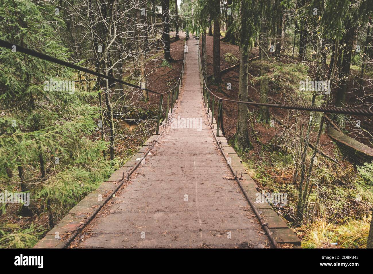 suspension bridge in the wilds of the forest nature travel extreme ...