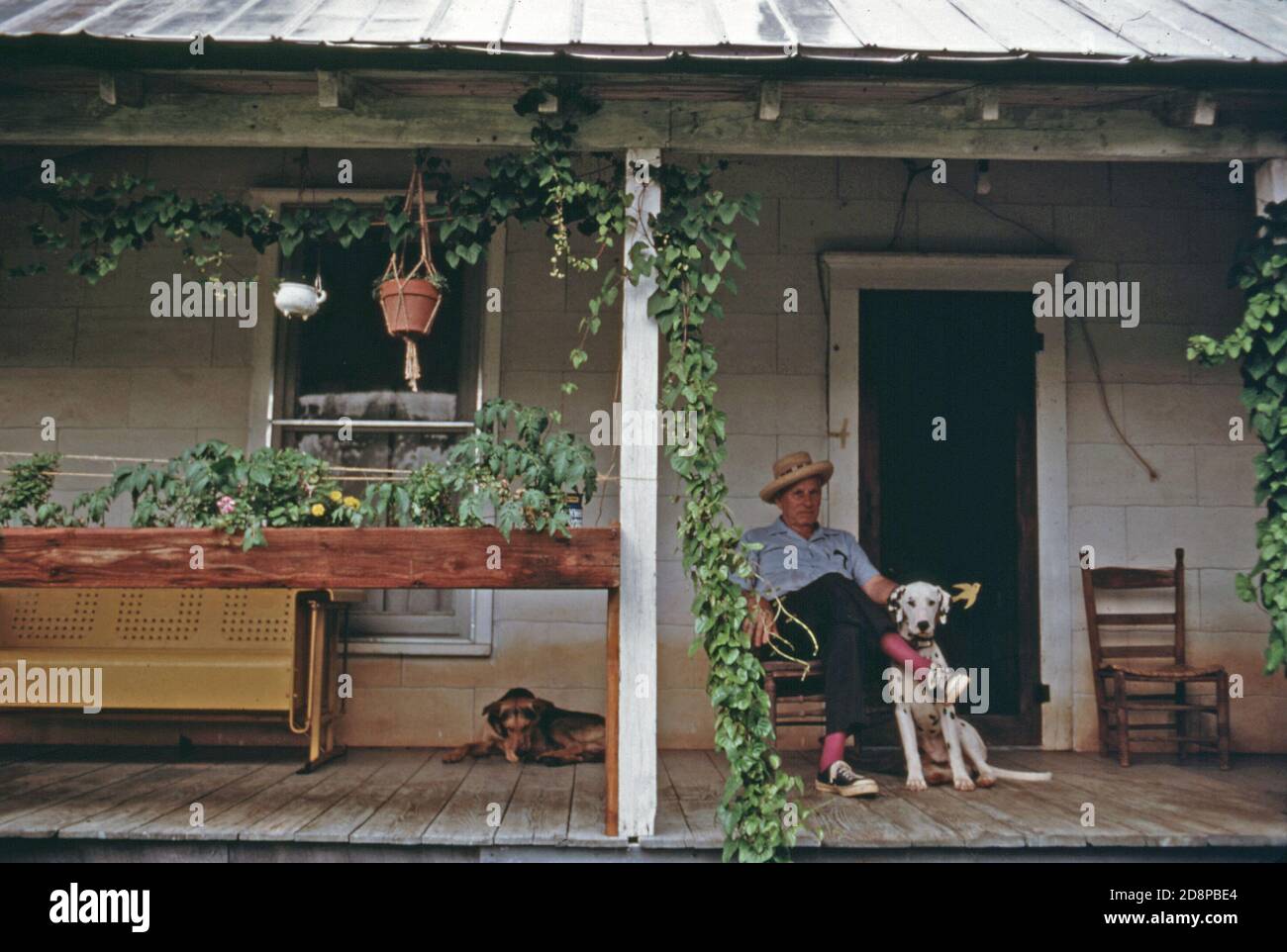 Bill Vandiver and his dogs on the front porch of his home off the ...