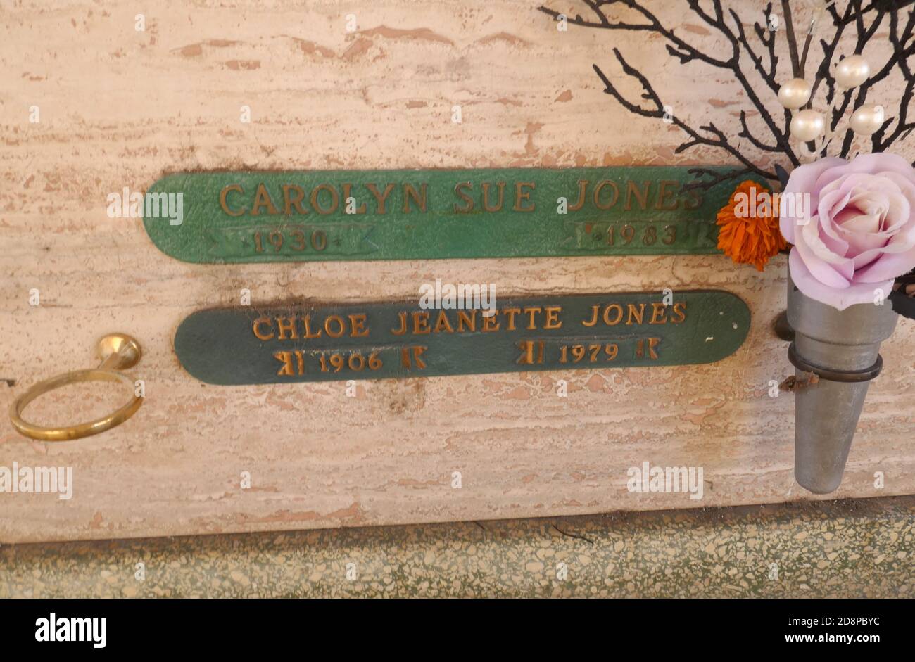 Anaheim, California, USA 30th October 2020 A general view of atmosphere ...