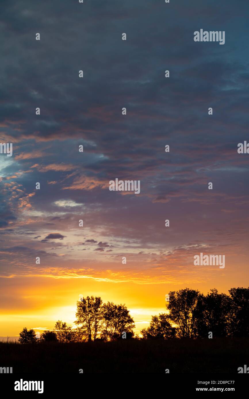 Dominique braud hi-res stock photography and images - Alamy