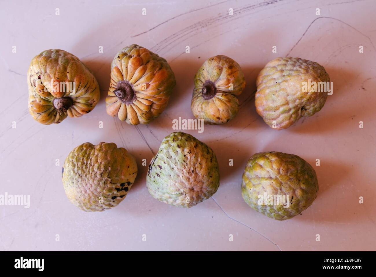 Asuncion, Paraguay. 31st October, 2020. Aratiku (Annona sp.) maturing ...