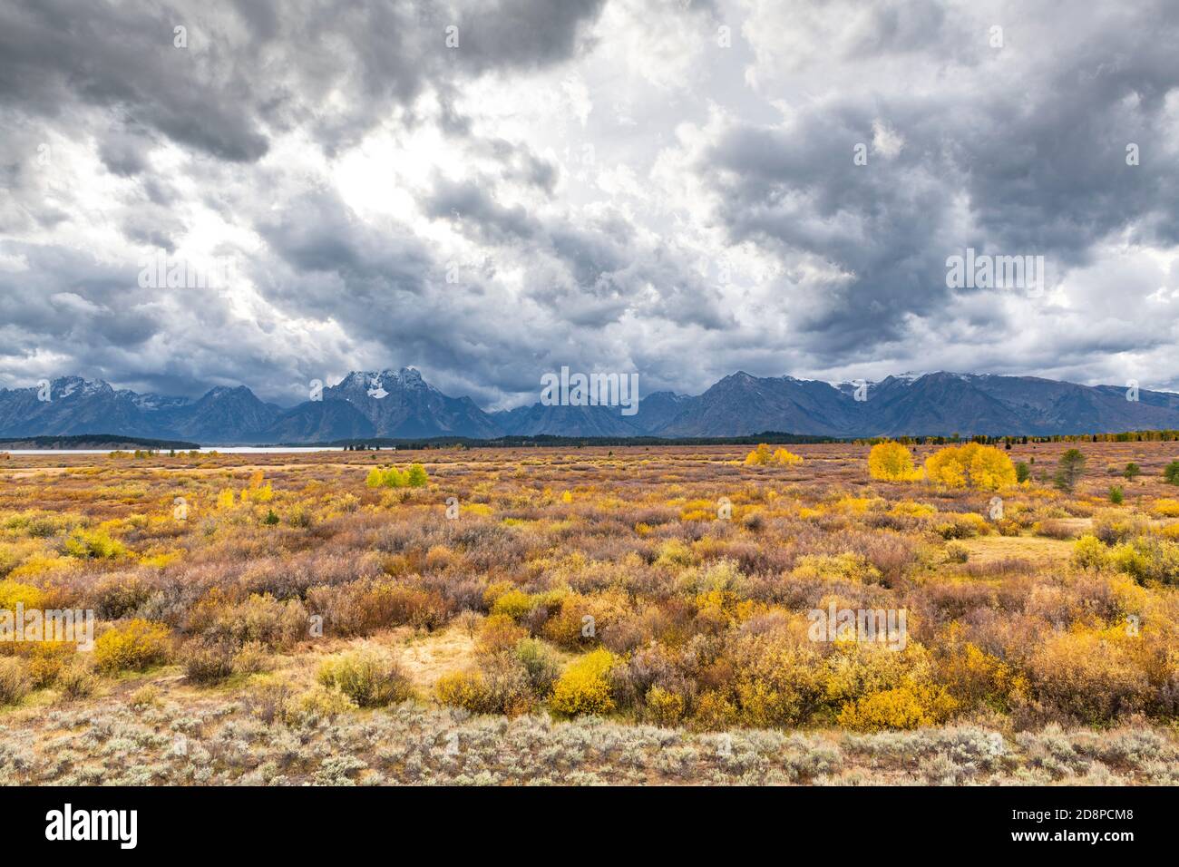 Grand Teton National Park, Willow flats & Mt Moran, Autumn, WY, USA, by ...