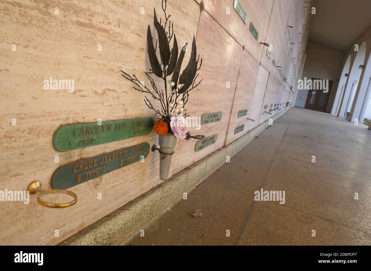 Carolyn jones morticia addams hi-res stock photography and images - Alamy