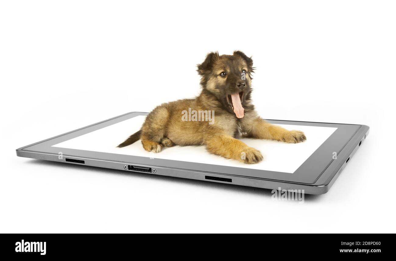 Tablet ko computer kaise banaye hi-res stock photography and images - Alamy