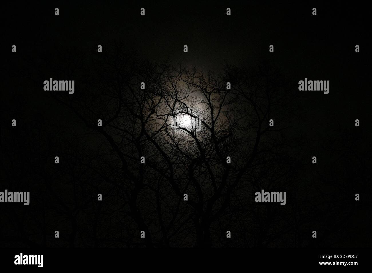 Blue moon Halloween 2020 Stock Photo - Alamy