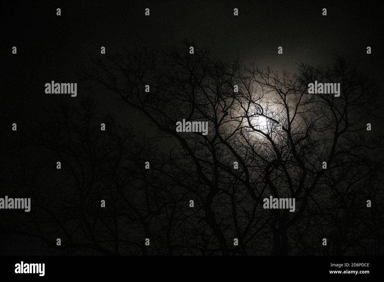 Blue moon Halloween 2020 Stock Photo - Alamy
