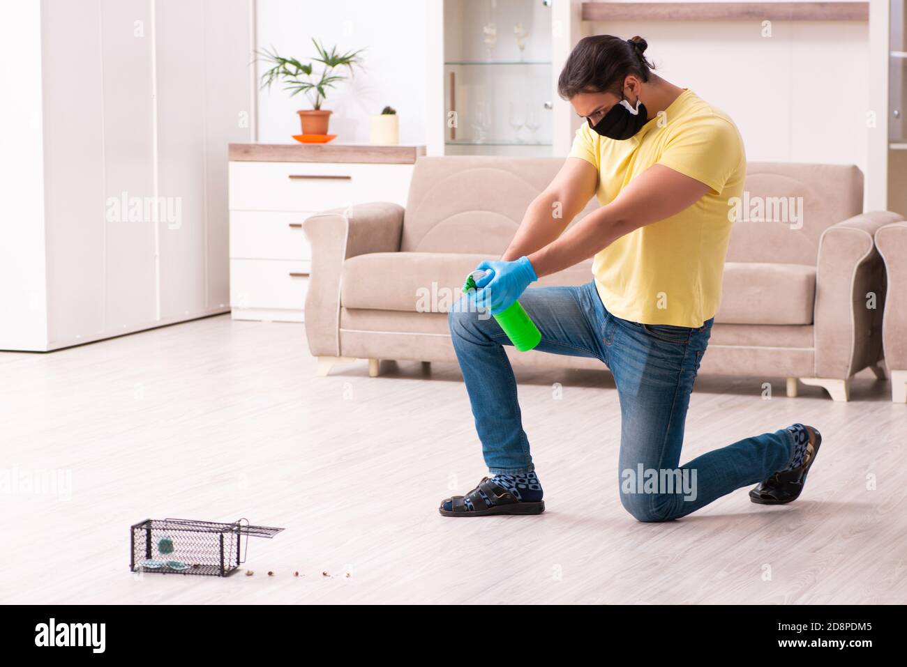 Man and mousetrap at home Stock Photo - Alamy
