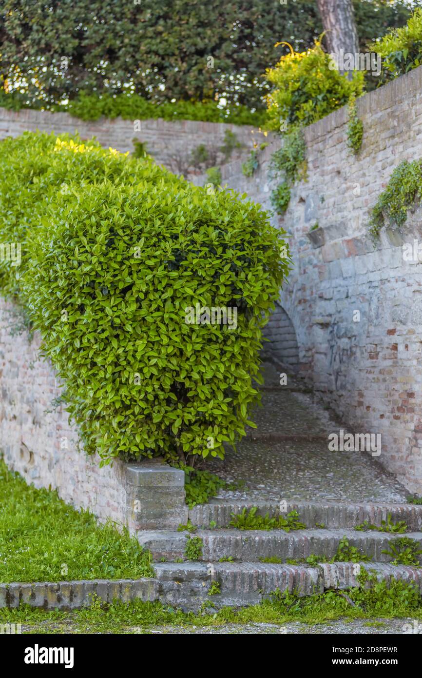 Medieval garden orchard hi-res stock photography and images - Alamy