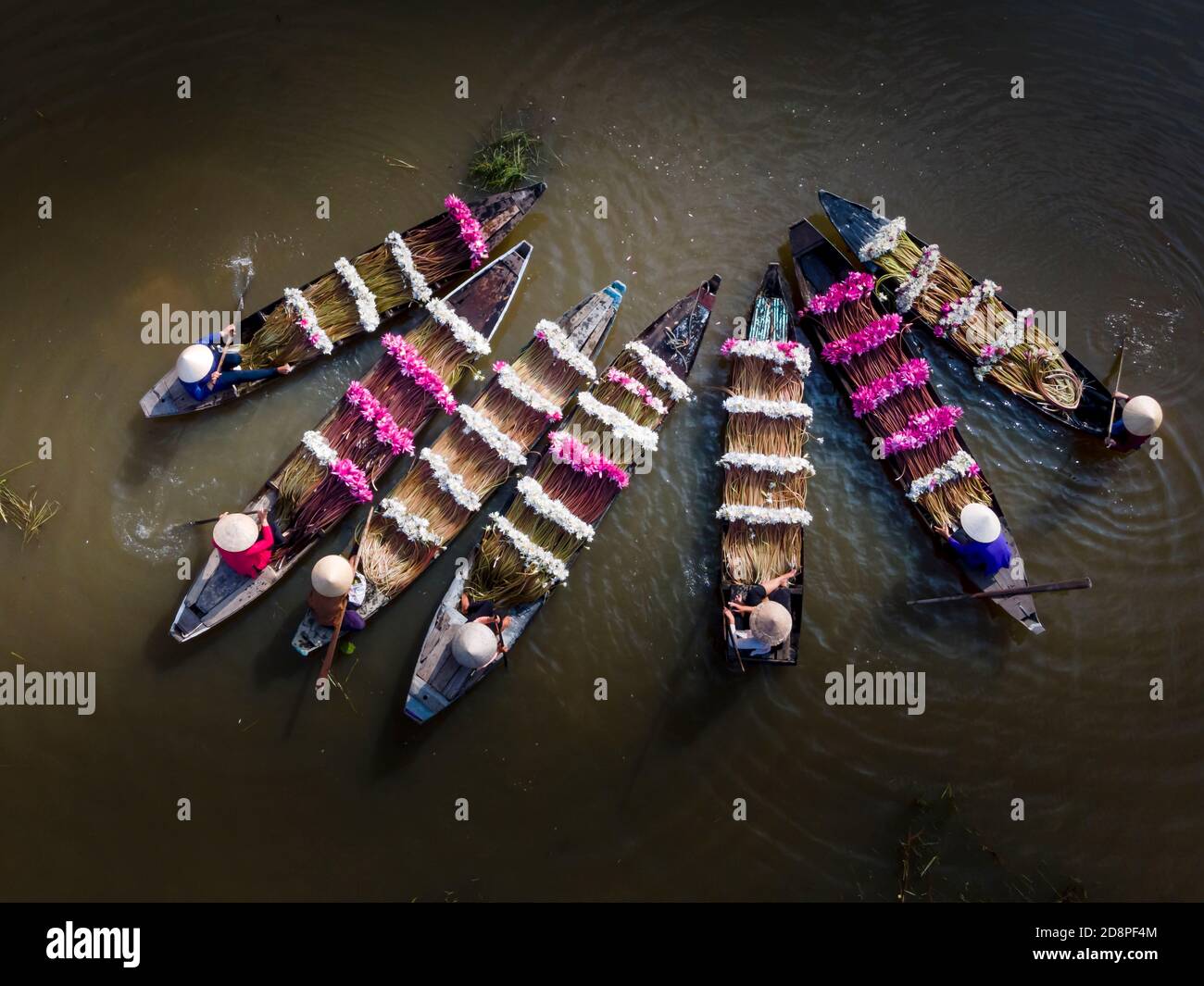Long An Province, Viet Nam-Rural women in Kien Tuong district of Long ...