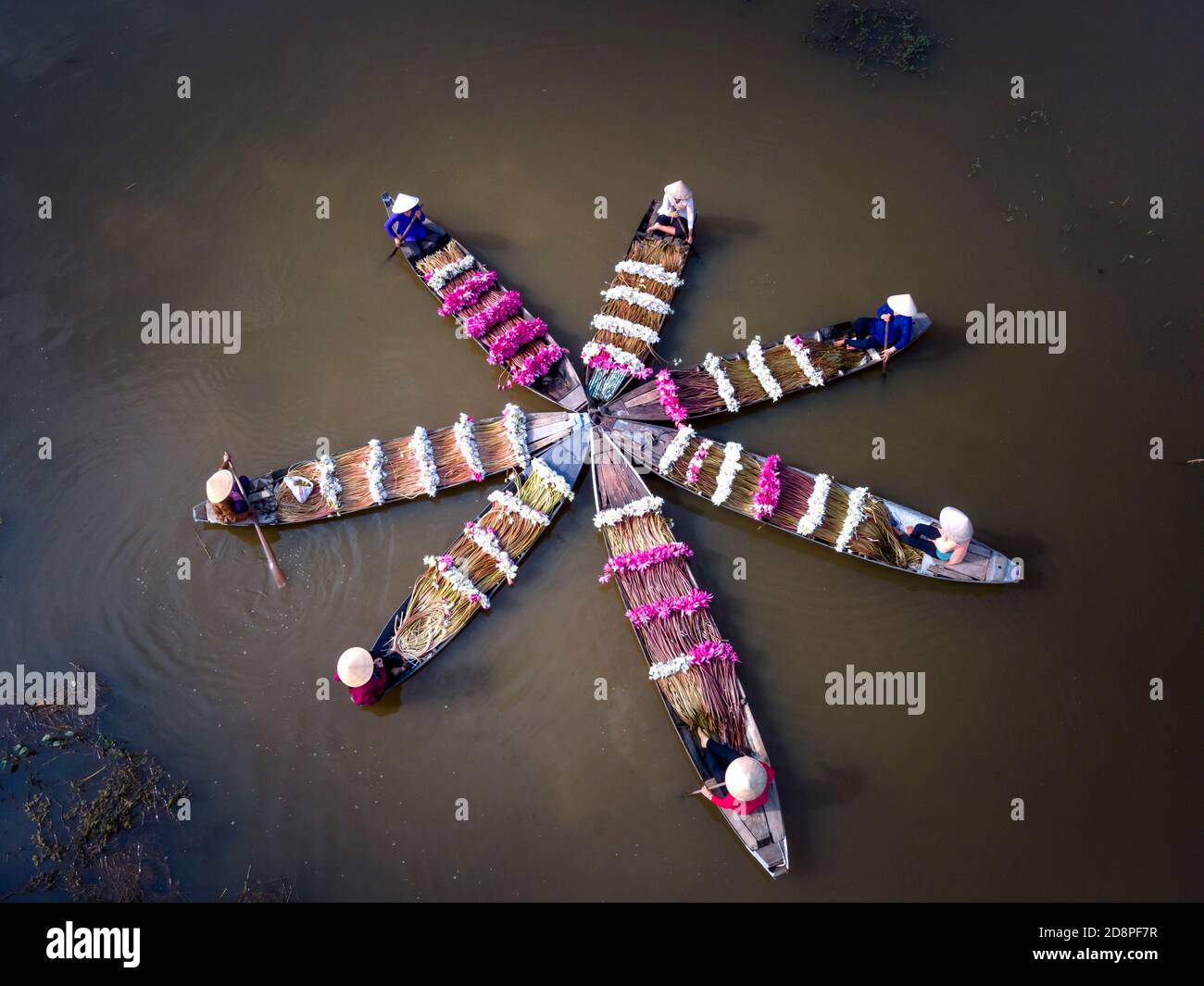 Long An Province, Viet Nam-Rural women in Kien Tuong district of Long ...