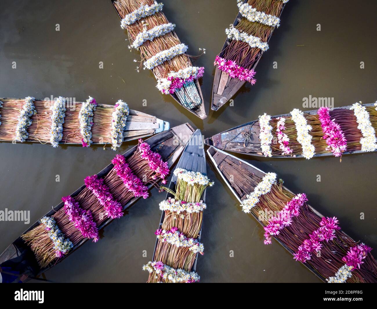 Long An Province, Viet Nam-Rural women in Kien Tuong district of Long ...