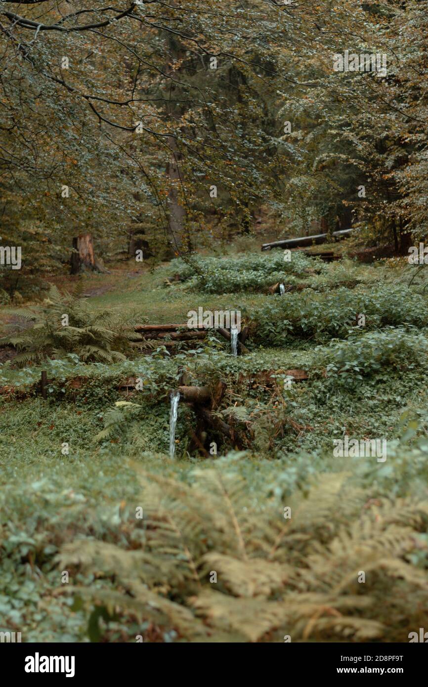 Vertical shot of wooden tubes with flowing water in the Thuringian ...