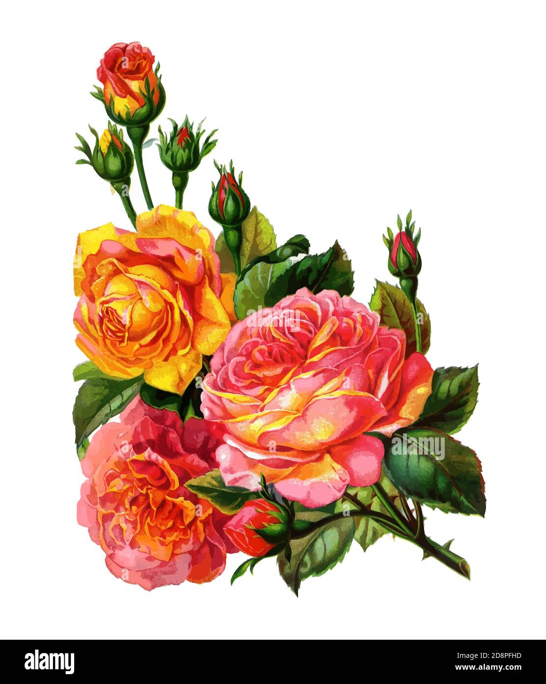 Cluster of roses Stock Vector Images - Alamy