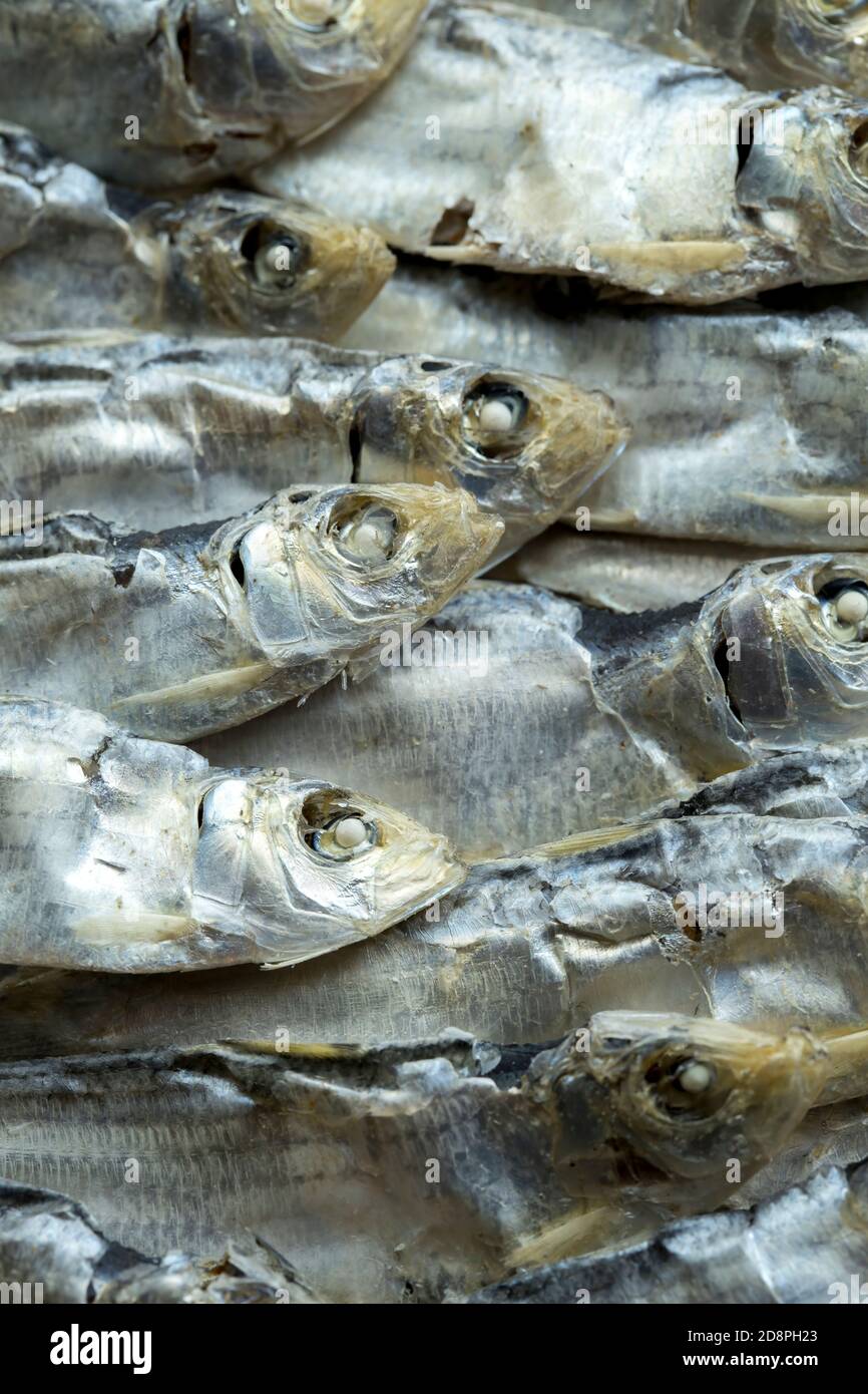 An overhead close up photo of dried sardines laid in a neat pile Stock ...
