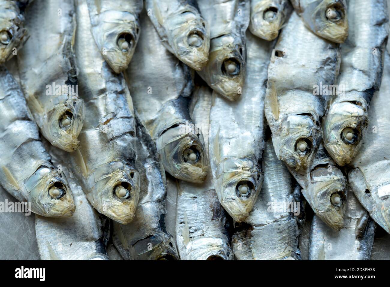 An overhead close up photo of dried sardines laid in a neat pile Stock ...