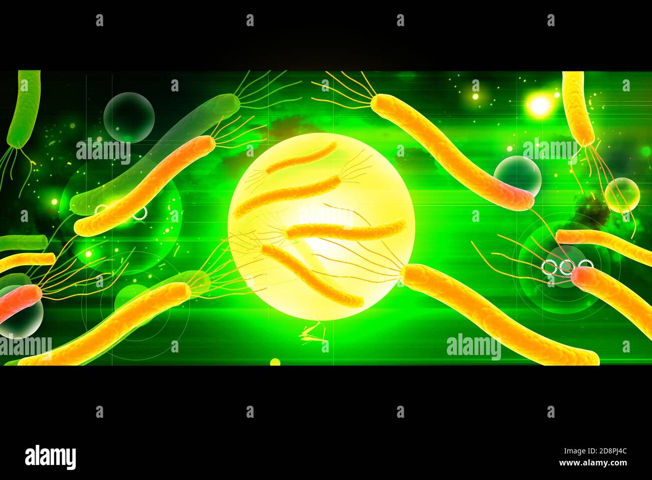 Digital illustration of Helicobacter bacteria in color background Stock ...