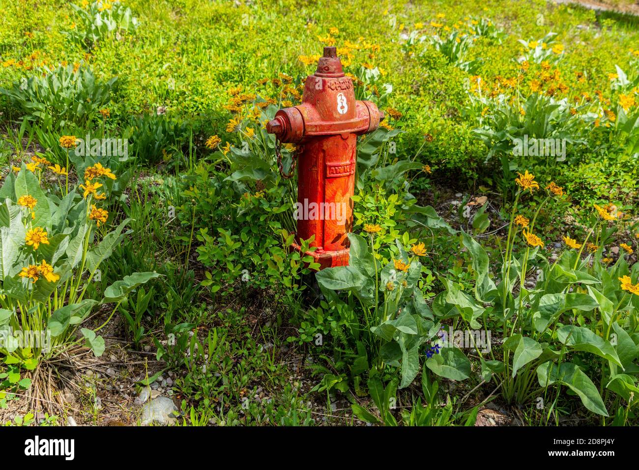 old fashioned fire hydrant Stock Photo - Alamy